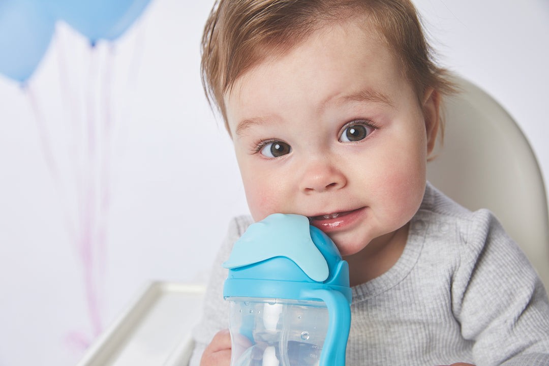 b.box 迪士尼防漏吸管學飲杯 Elsa【香港原裝行貨】 – EasyBabyShop